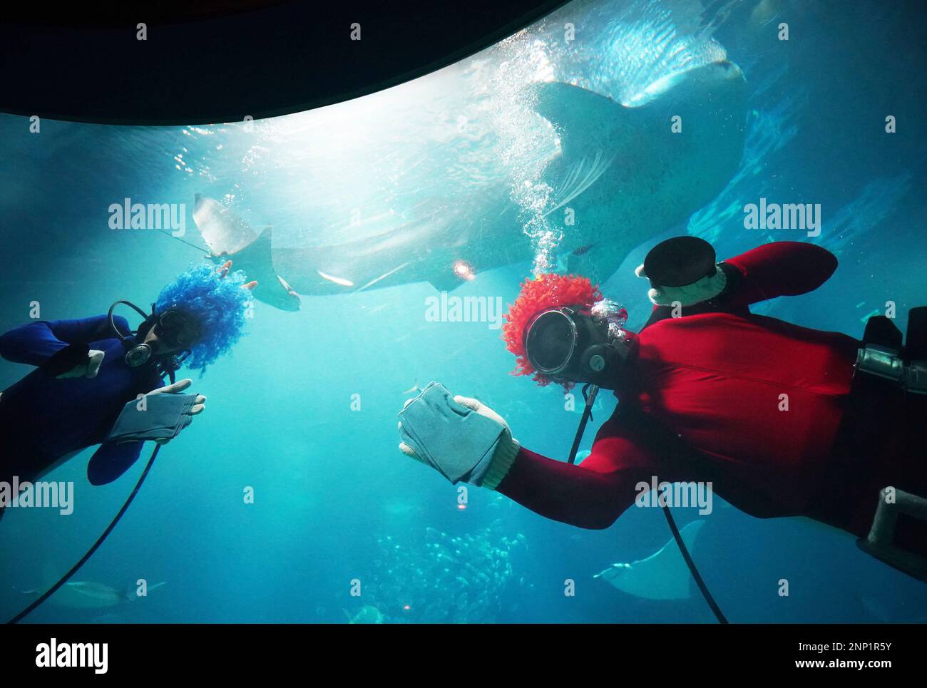 Divers wearing devil costume welcome visitors in a giant fish tank at ...