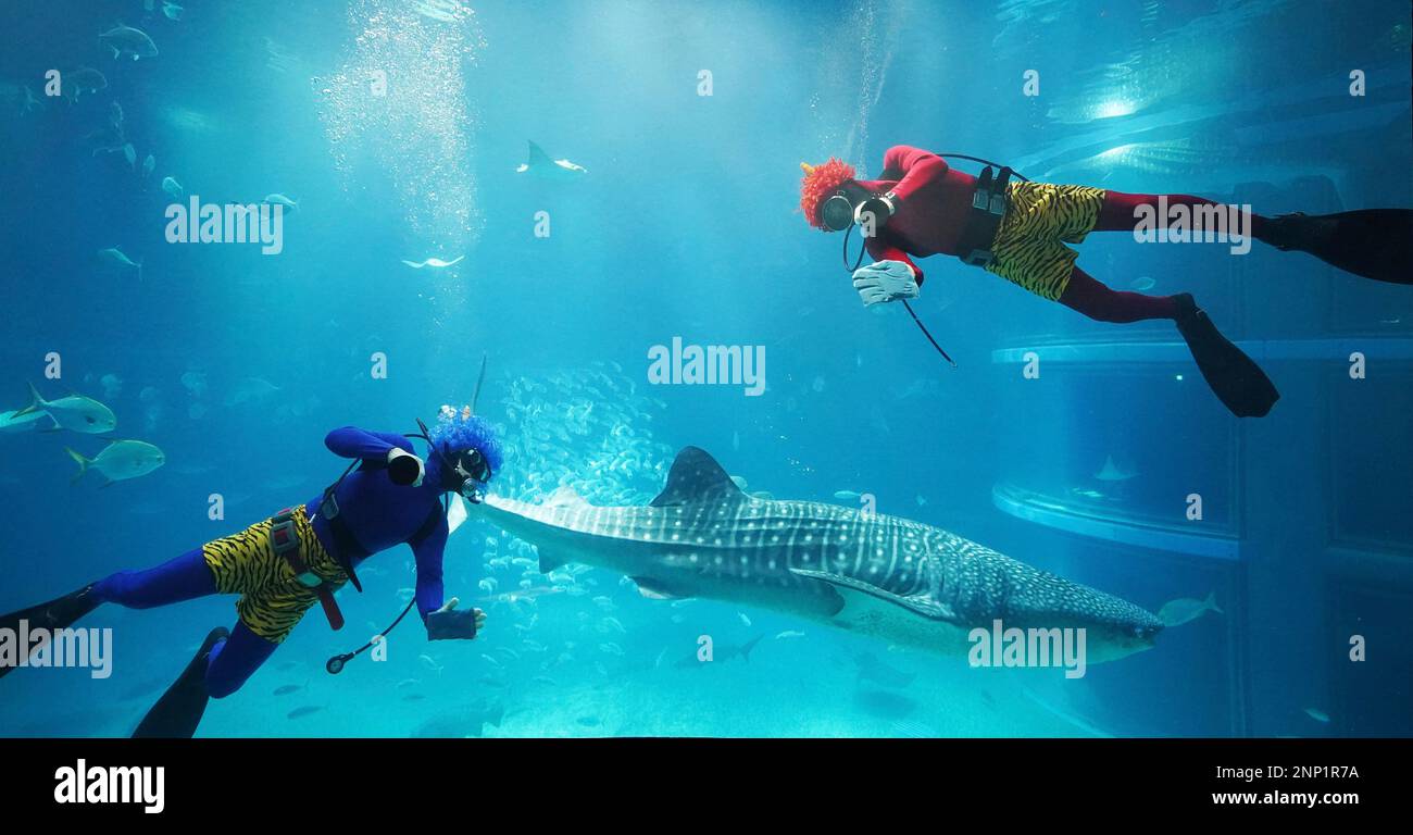 Divers wearing devil costume welcome visitors in a giant fish tank at ...