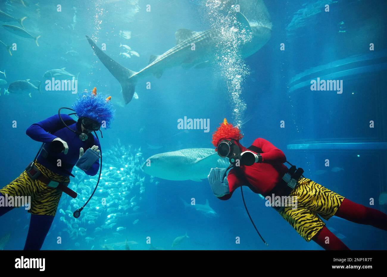 Divers wearing devil costume welcome visitors in a giant fish tank at ...