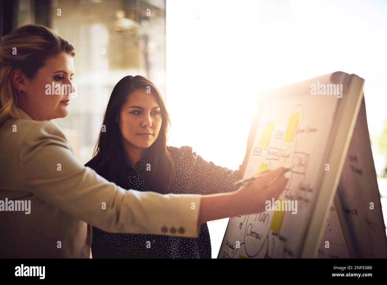 Making her ideas visual. two young colleagues brainstorming with ...