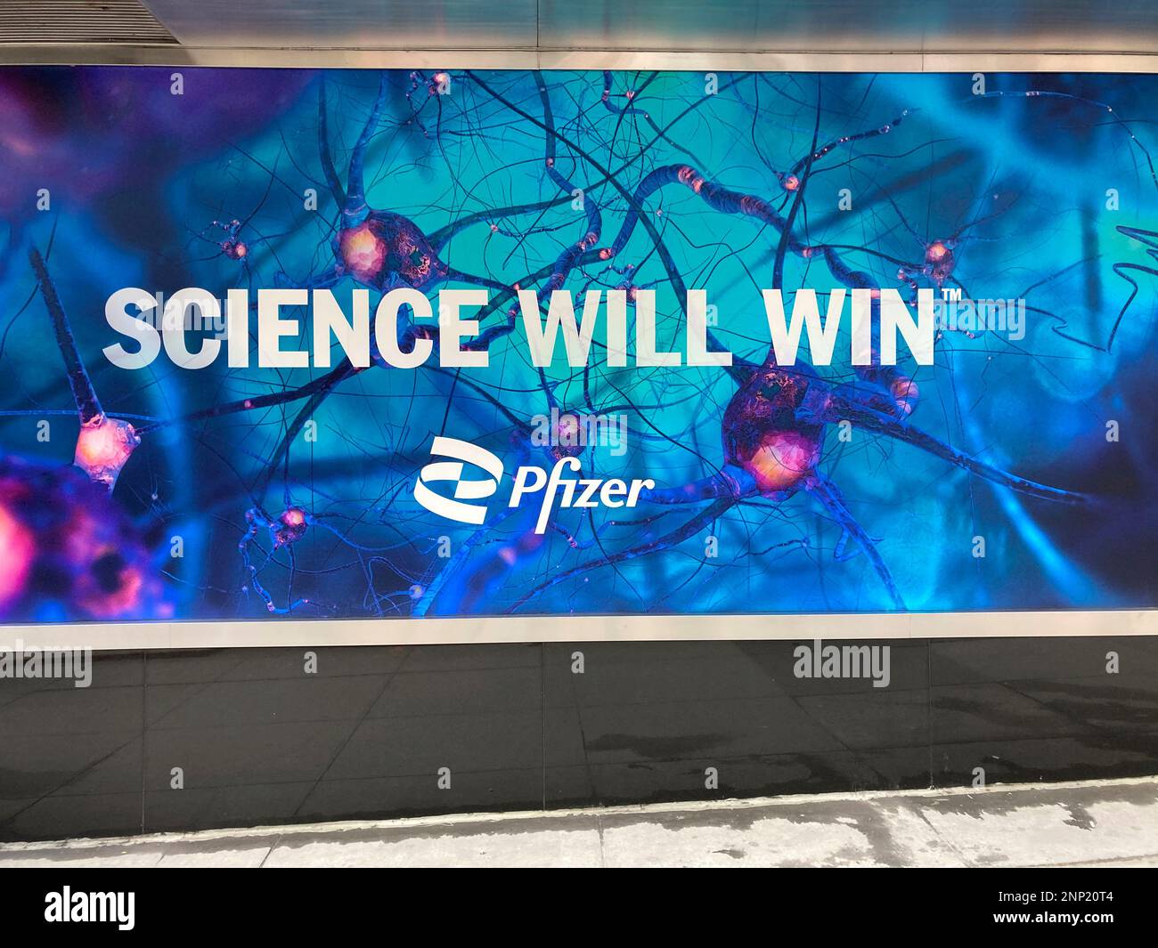Photo by: STRF/STAR MAX/IPx 2021 1/19/21 pfizer displays their new logo ...
