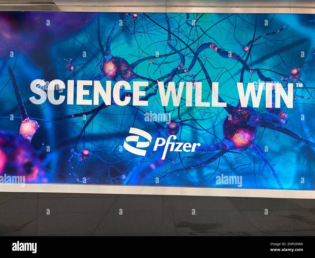 Photo by: STRF/STAR MAX/IPx 2021 1/19/21 pfizer displays their new logo ...
