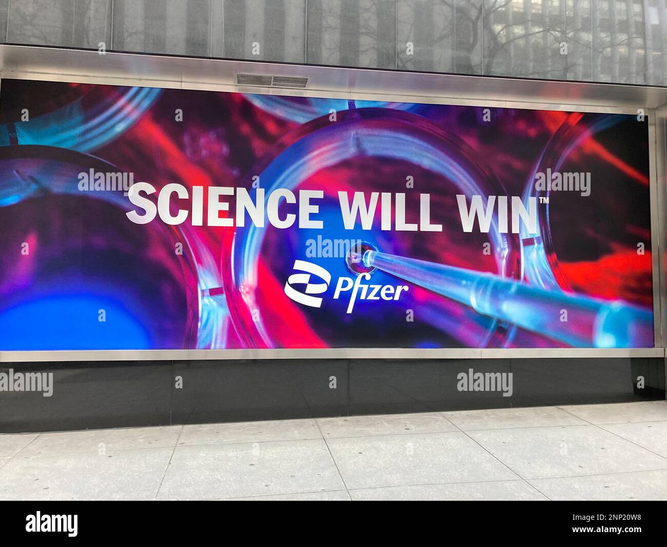 Photo by: STRF/STAR MAX/IPx 2021 1/19/21 pfizer displays their new logo ...