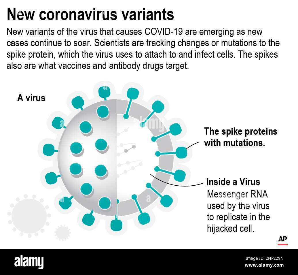 Graphic shows a diagram of the COVID-19 virus Stock Photo - Alamy