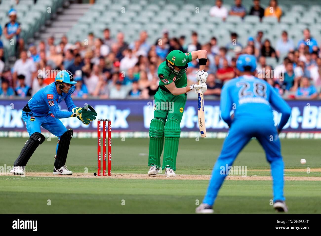 ADELAIDE, AUSTRALIA - JANUARY 11: Nick Larkin of Melbourne Stars hits ...