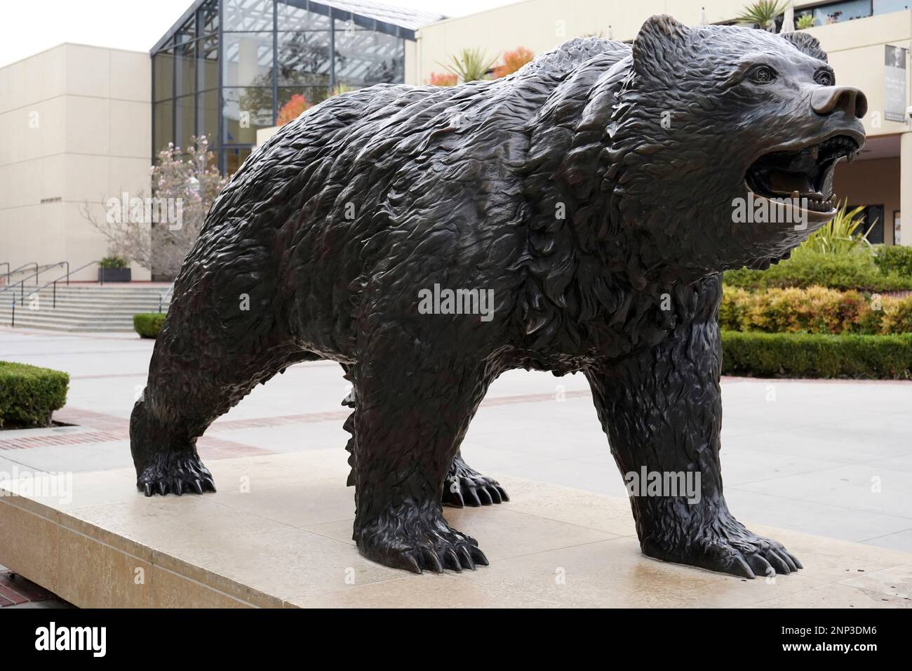 J d morgan athletics center hi-res stock photography and images - Alamy