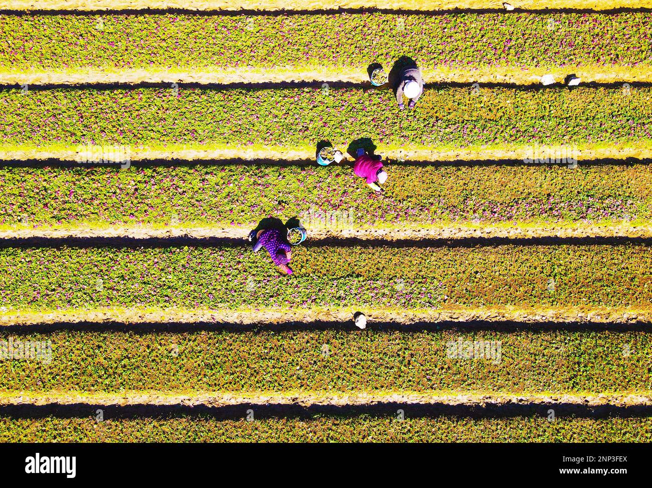 ANQING, CHINA - FEBRUARY 26, 2023 - Aerial photo taken on Feb 26, 2023 ...