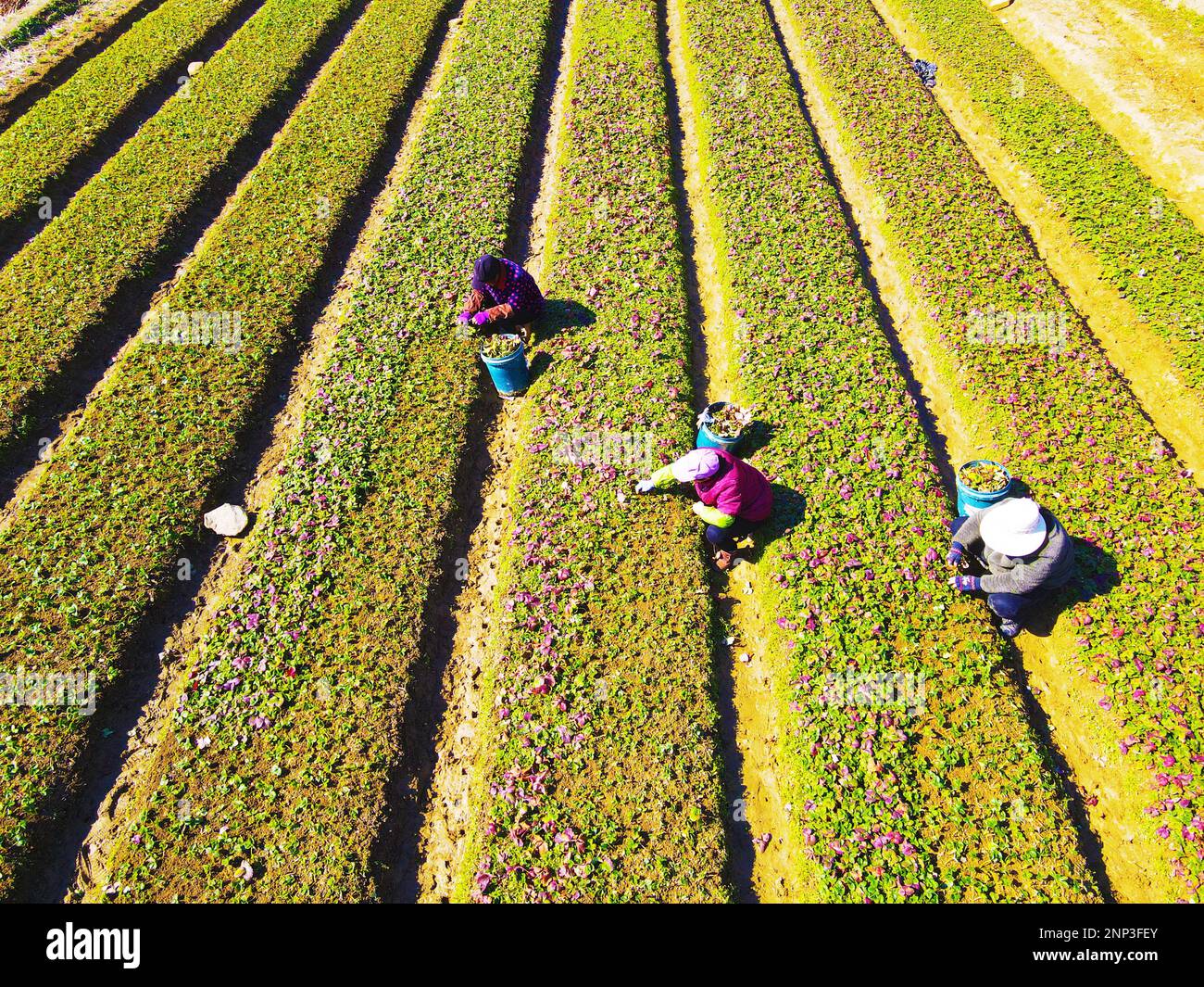 ANQING, CHINA - FEBRUARY 26, 2023 - Aerial photo taken on Feb 26, 2023 ...