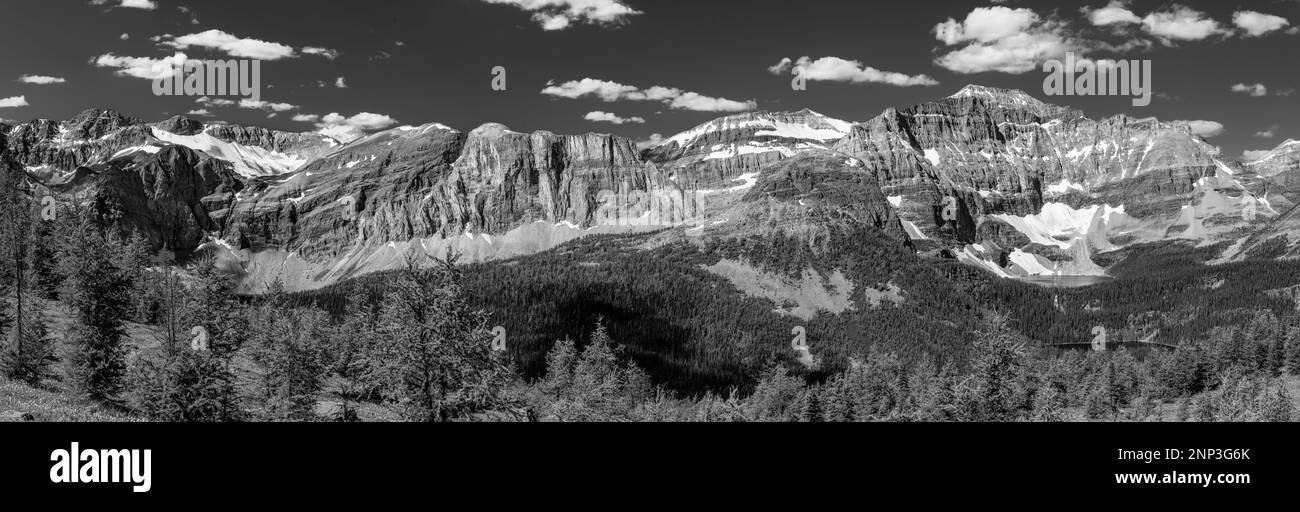 Mountains and forest, Healy Pass, Banff National Park, Alberta, Canada ...