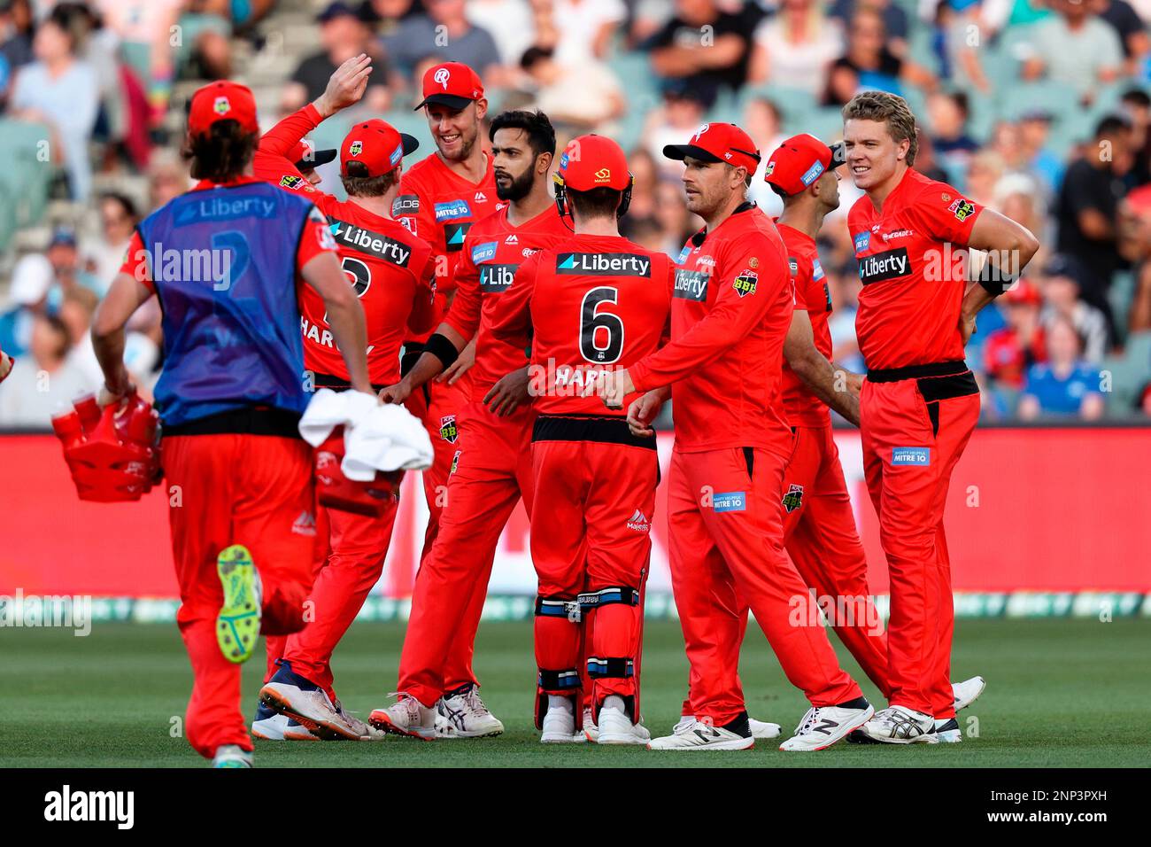 ADELAIDE, AUSTRALIA - JANUARY 05: Alex Carey of Adelaide Strikers ...