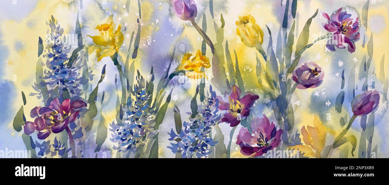 Blue and yellow spring flowers watercolor background Stock Photo - Alamy