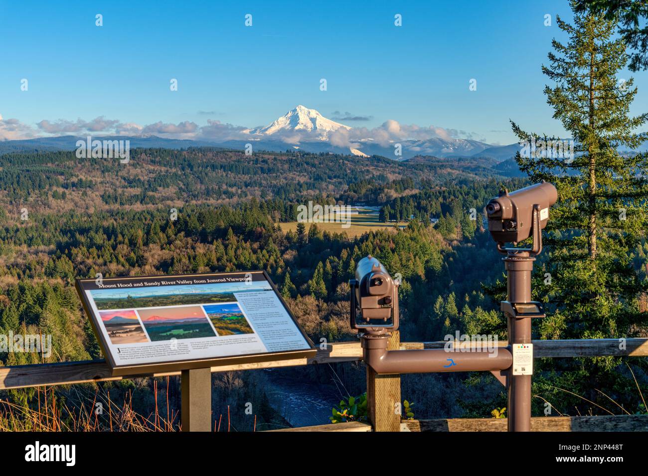Viewpoint forest hi-res stock photography and images - Alamy