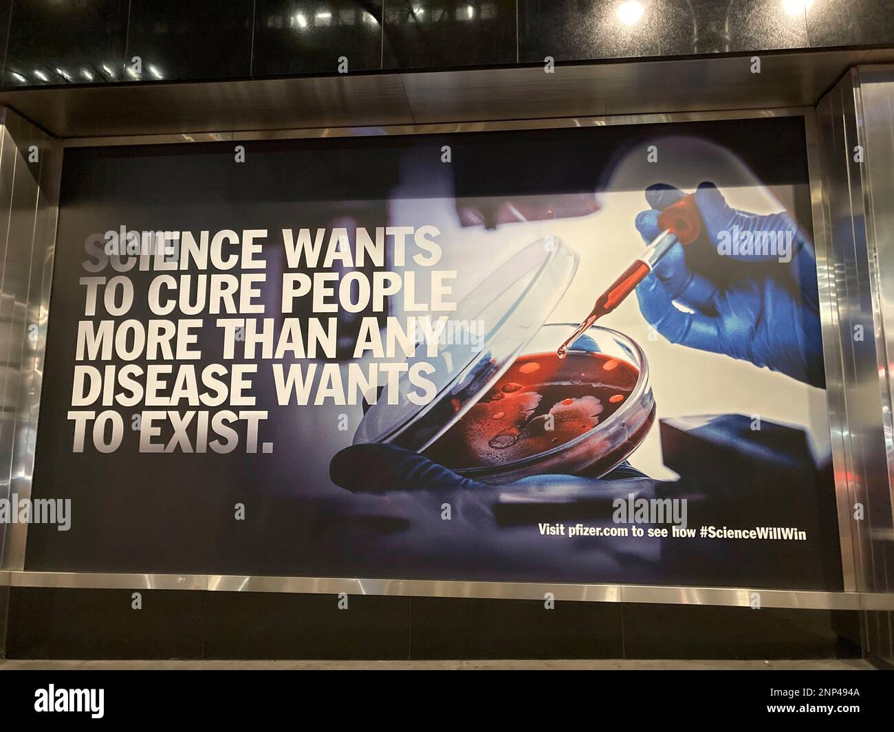 Photo by: STRF/STAR MAX/IPx 2020 12/31/20 The Pfizer logo and words of ...