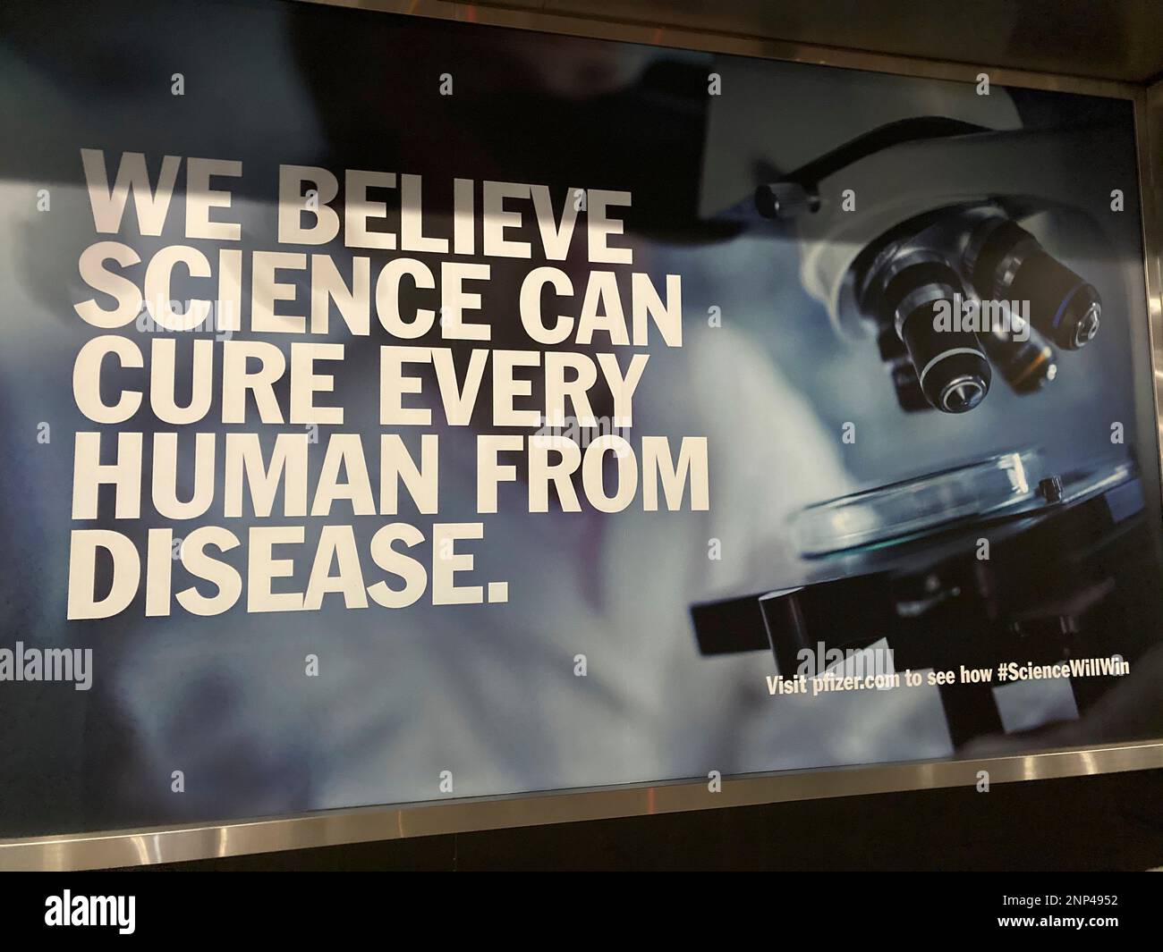 Photo by: STRF/STAR MAX/IPx 2020 12/31/20 The Pfizer logo and words of ...