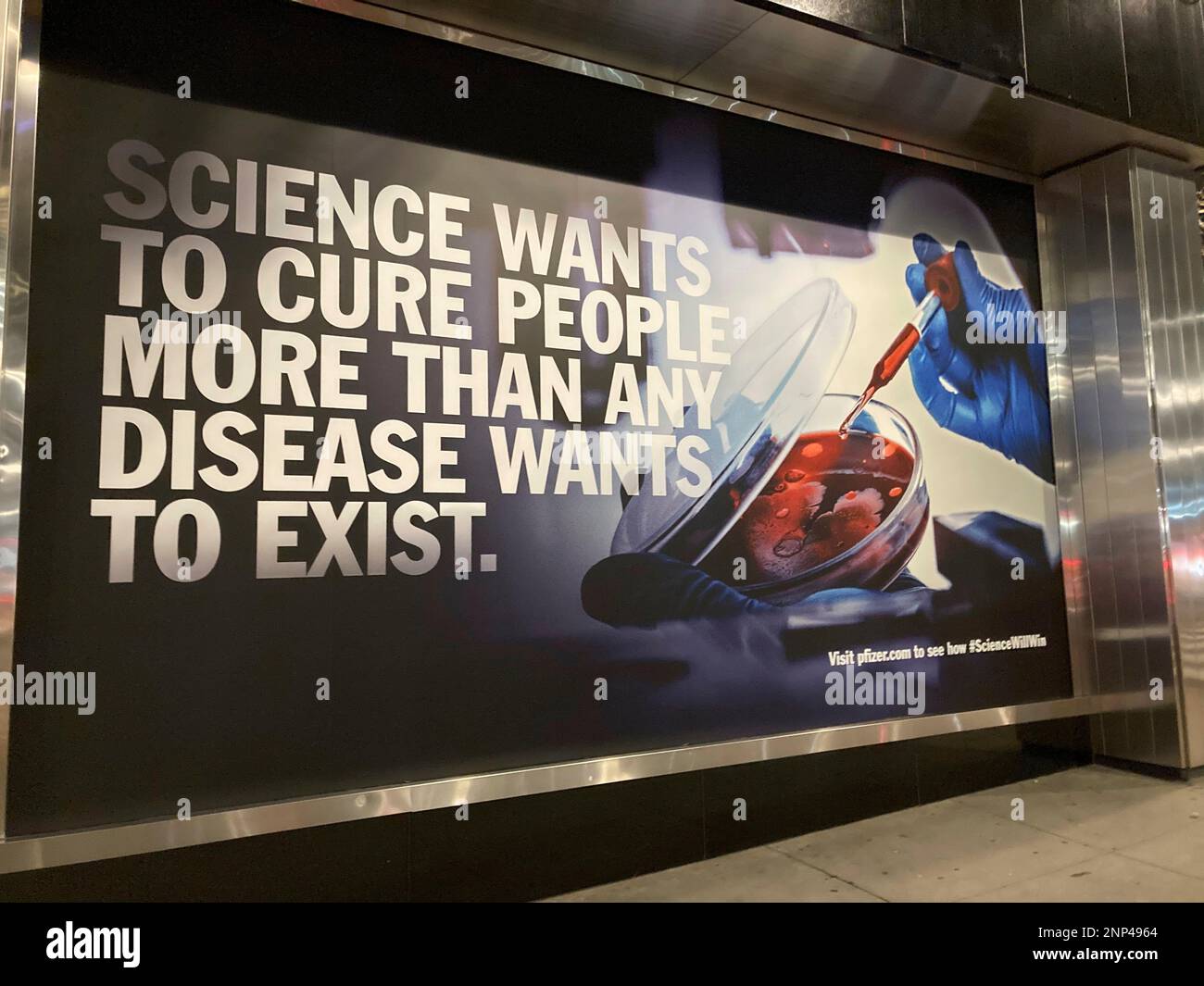 Photo by: STRF/STAR MAX/IPx 2020 12/31/20 The Pfizer logo and words of ...