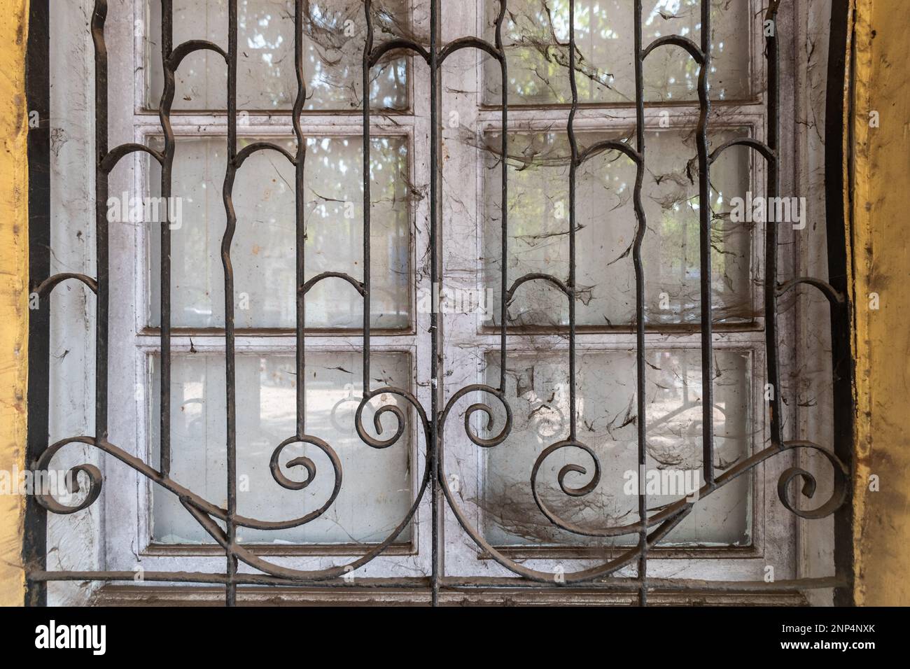 Detail of old metal grille on the cobwebbed window of a Portuguese era ...