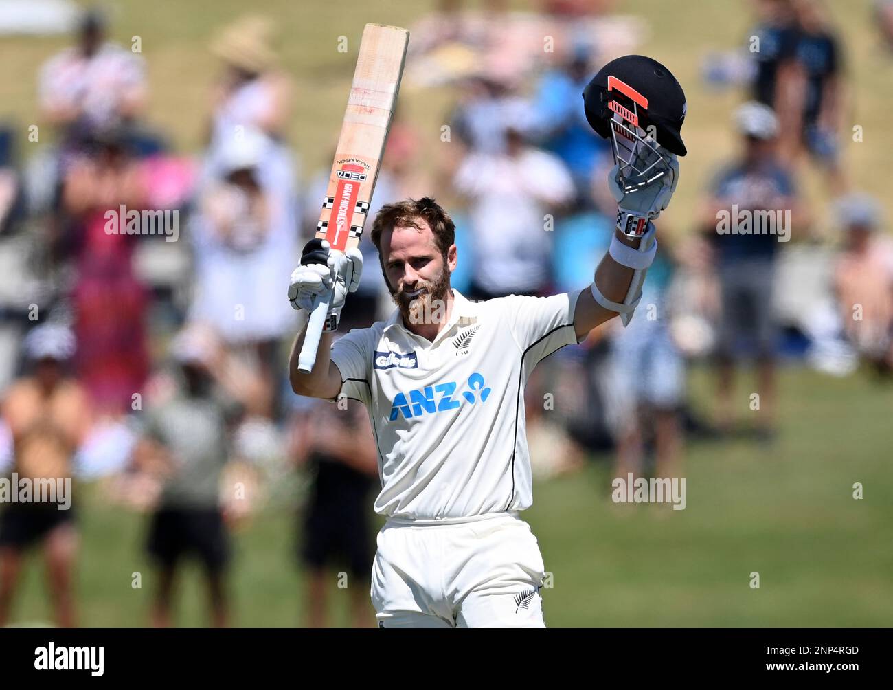 New Zealand cricket captain Kane Williamson celebrates on reaching his ...