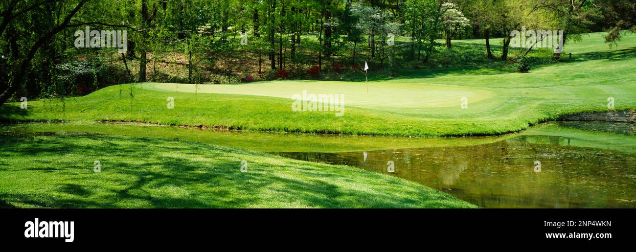 Pond on a golf course, Baltimore Country Club, Baltimore, Maryland, USA ...
