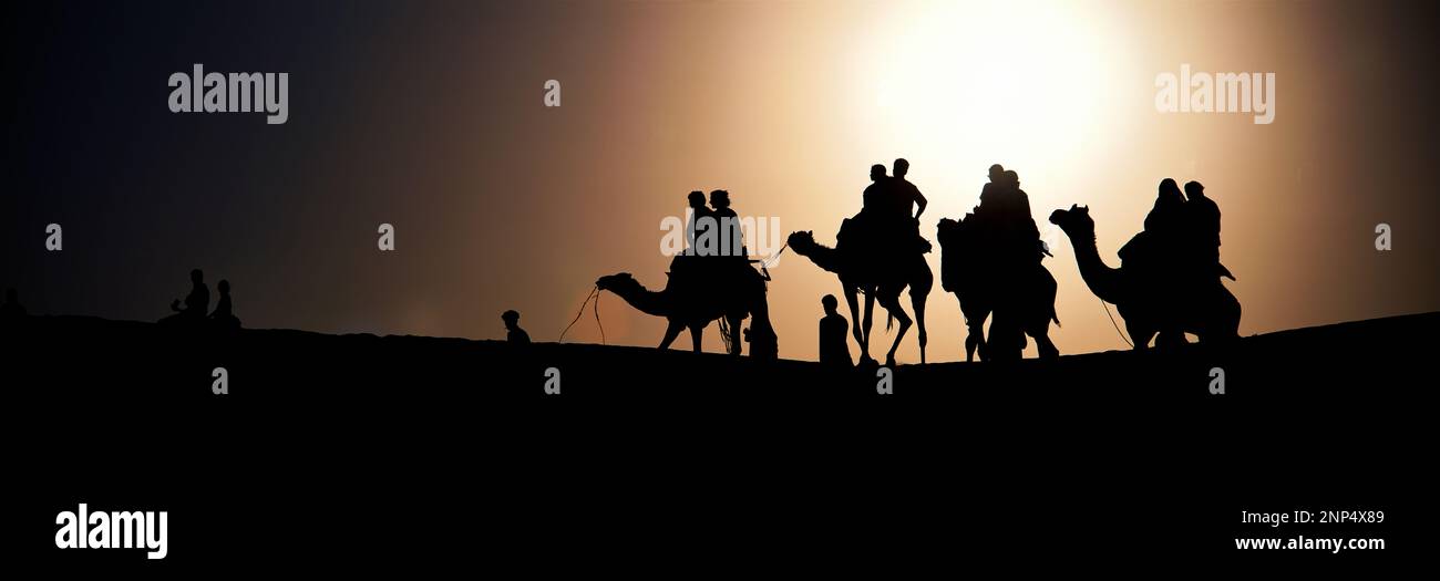 Silhouetted camel train in desert at sunset, Sam, Rajasthan, India ...