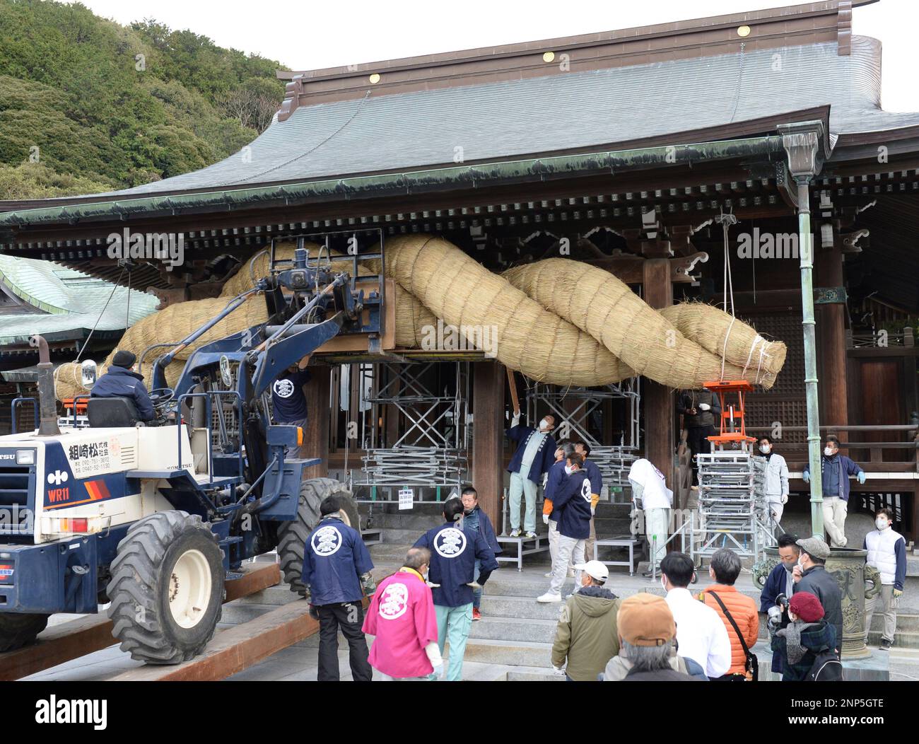 O-shimenawa, a huge sacred Shinto rice straw festoon, is set on the ...