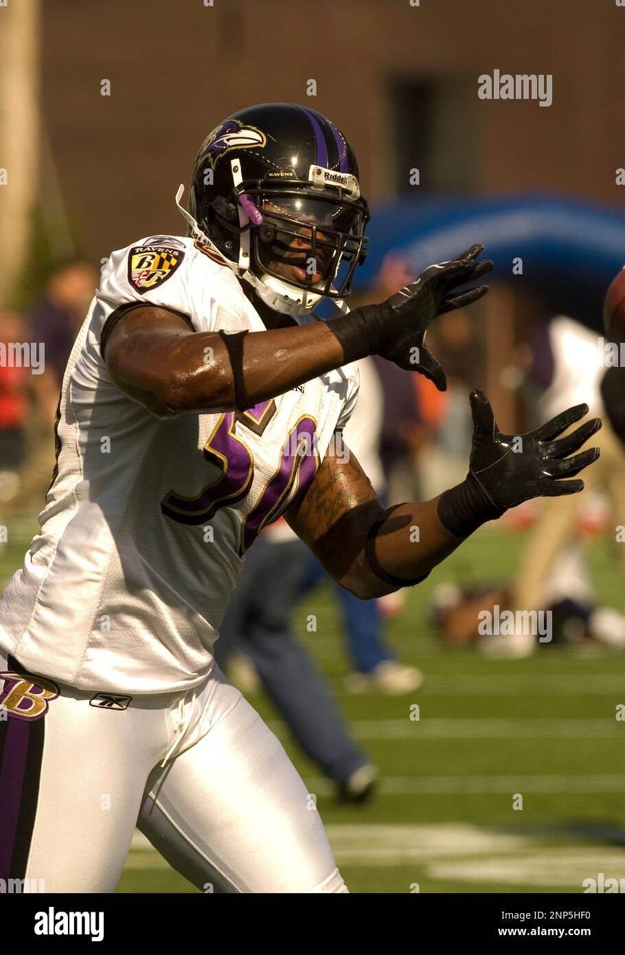 17 October 2010. Ravens Linebacker Edgar Jones (50) on the field during ...