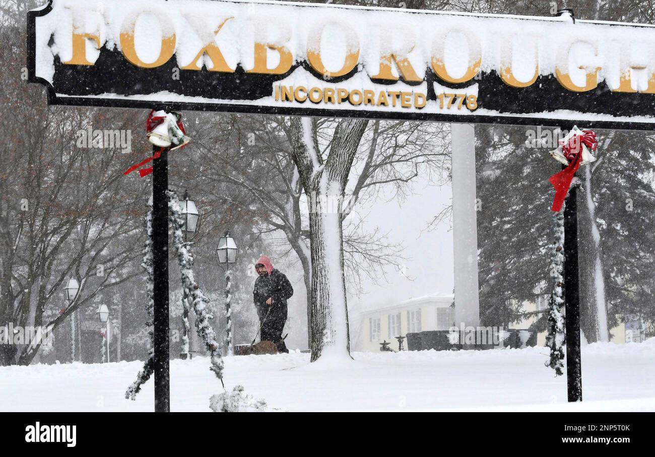 A man and his canine friend take a walk through the Foxboro Common in ...
