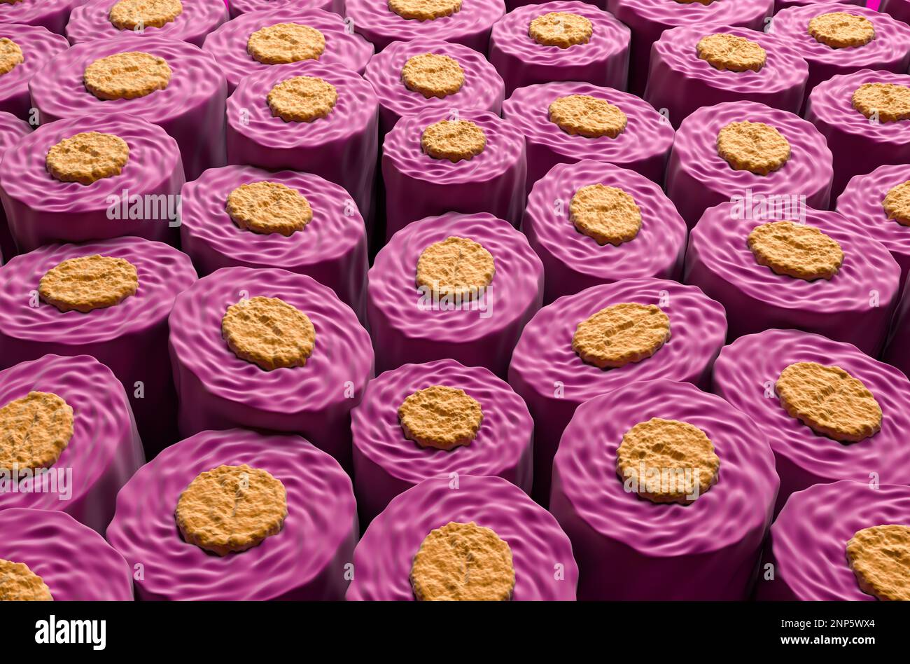 Healthy human nerve fiber section (neuron fibres) - 3d illustration ...