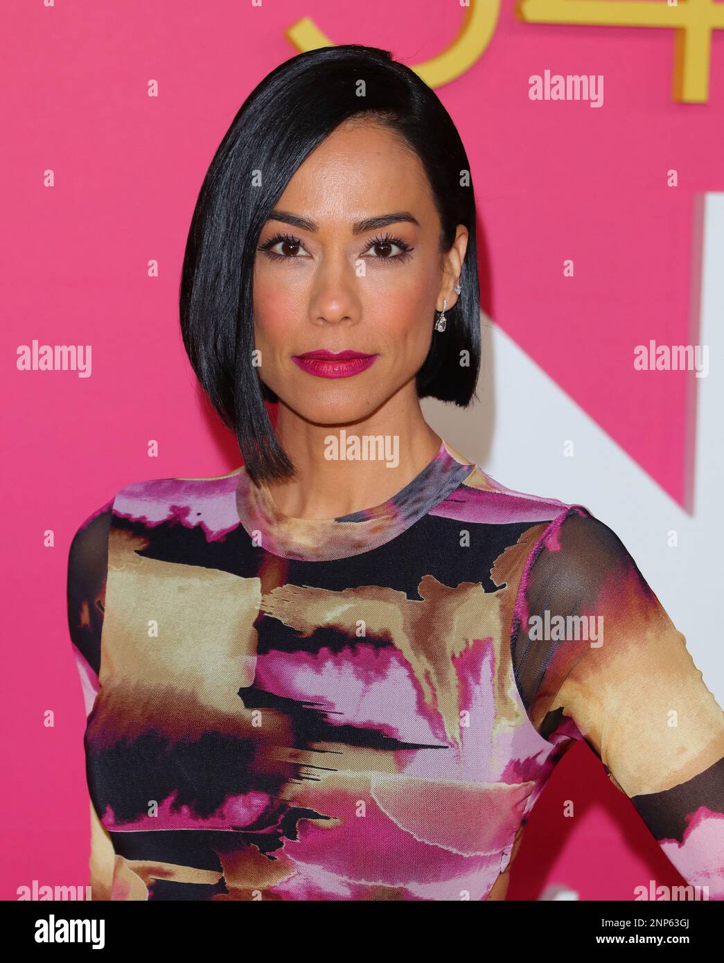 Daya Vaidya arrives at The 54th NAACP Image Awards, held at The ...