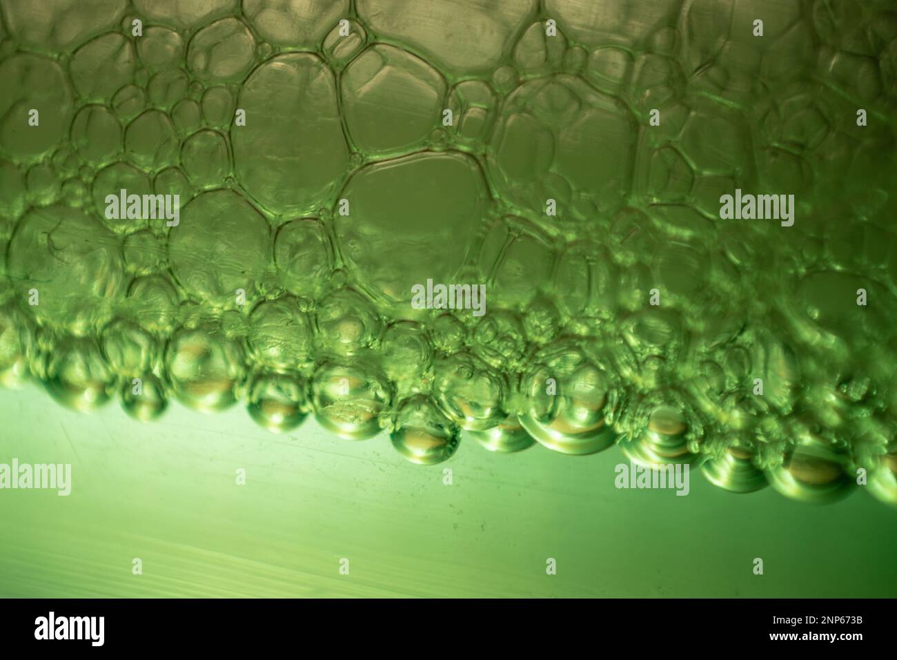 A closeup of numerous green soap bubbles illuminated by a light source ...