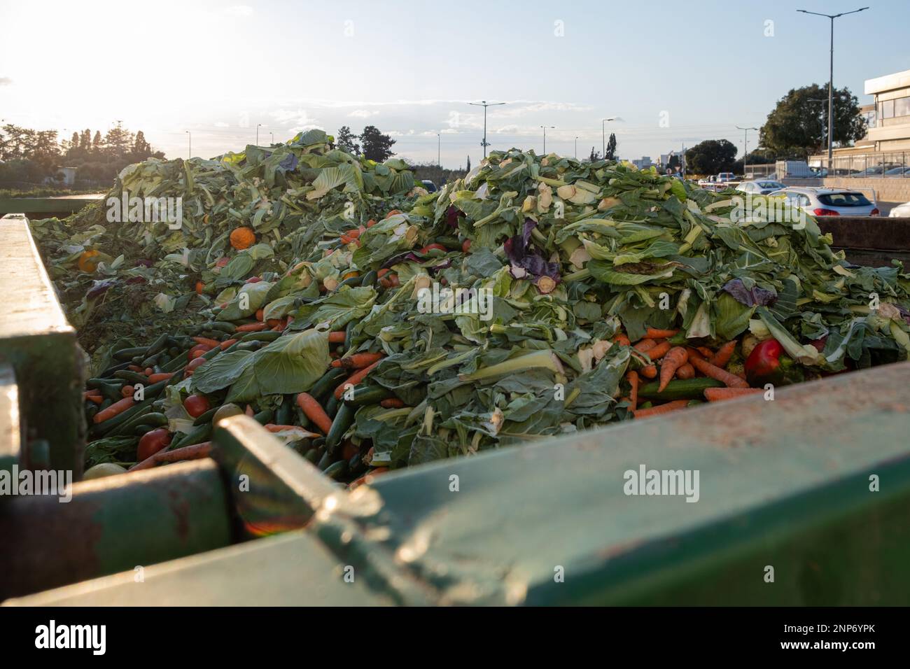 Expired Organic bio waste. Mix Vegetables and fruits in a huge ...