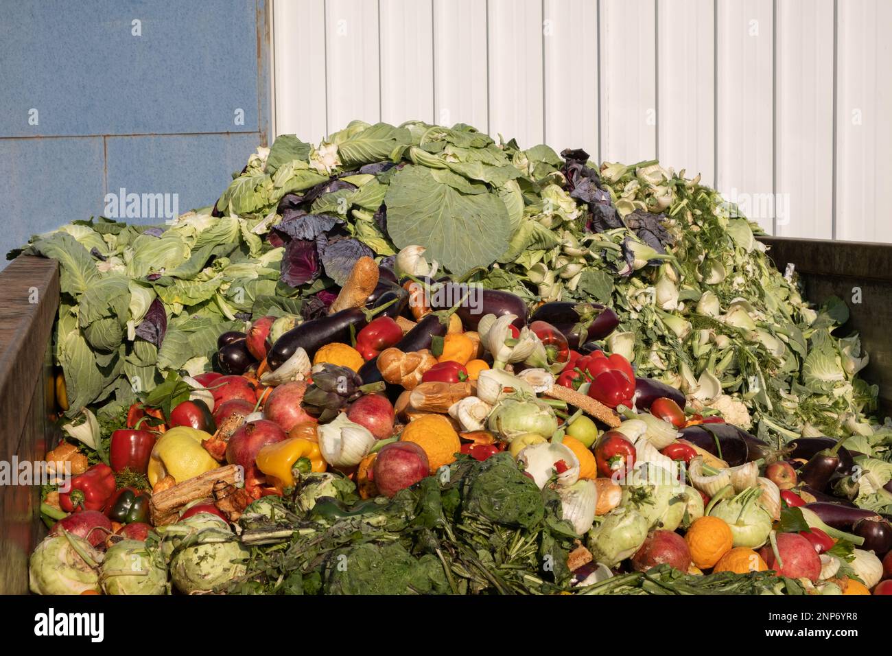 Expired Organic bio waste. Mix Vegetables and fruits in a huge ...