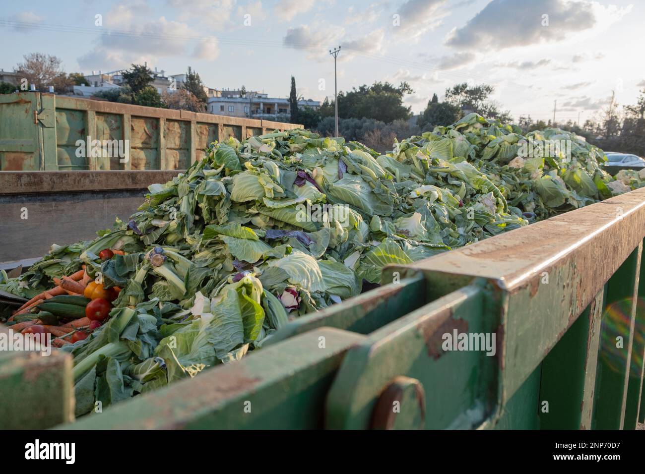 Expired Organic bio waste. Mix Vegetables and fruits in a huge ...