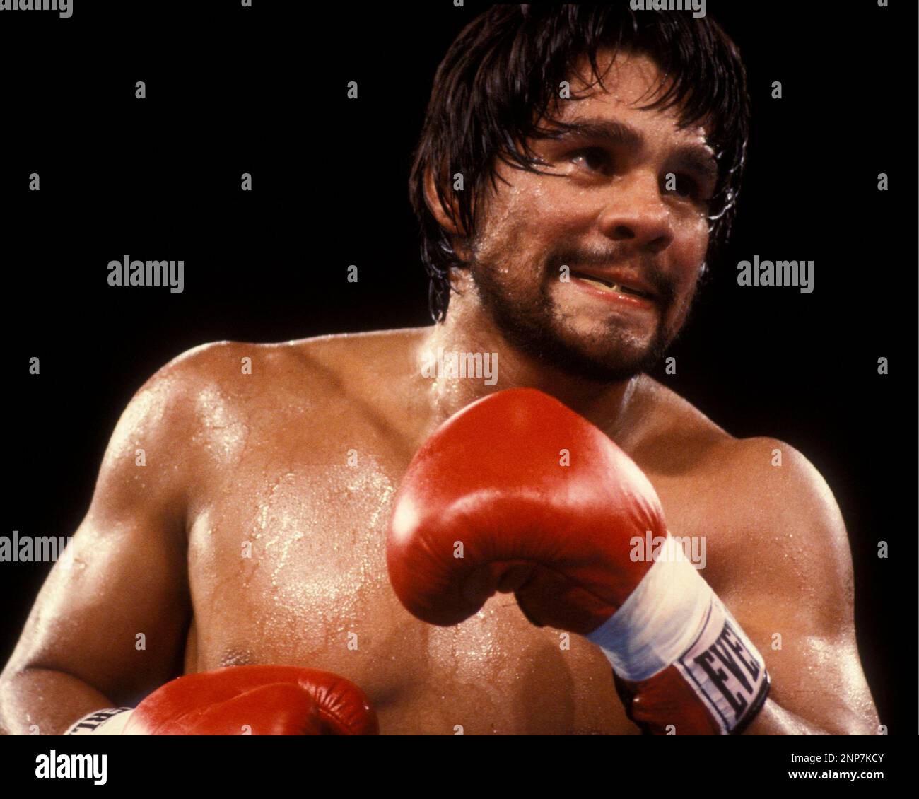 Boxer Roberto Duran during a 1983 fight at the in Miami, (Al ...