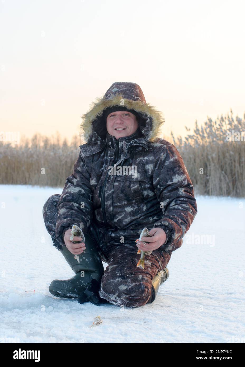 Winter fishing of a male fisherman polf on the snow holding two catch ...