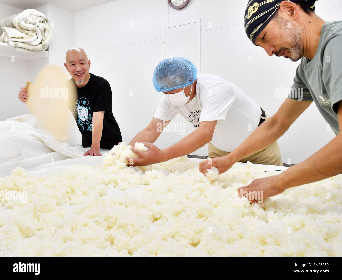 Craftsmen make sake (Japanese rice wine) by mixing steamed rice with ...