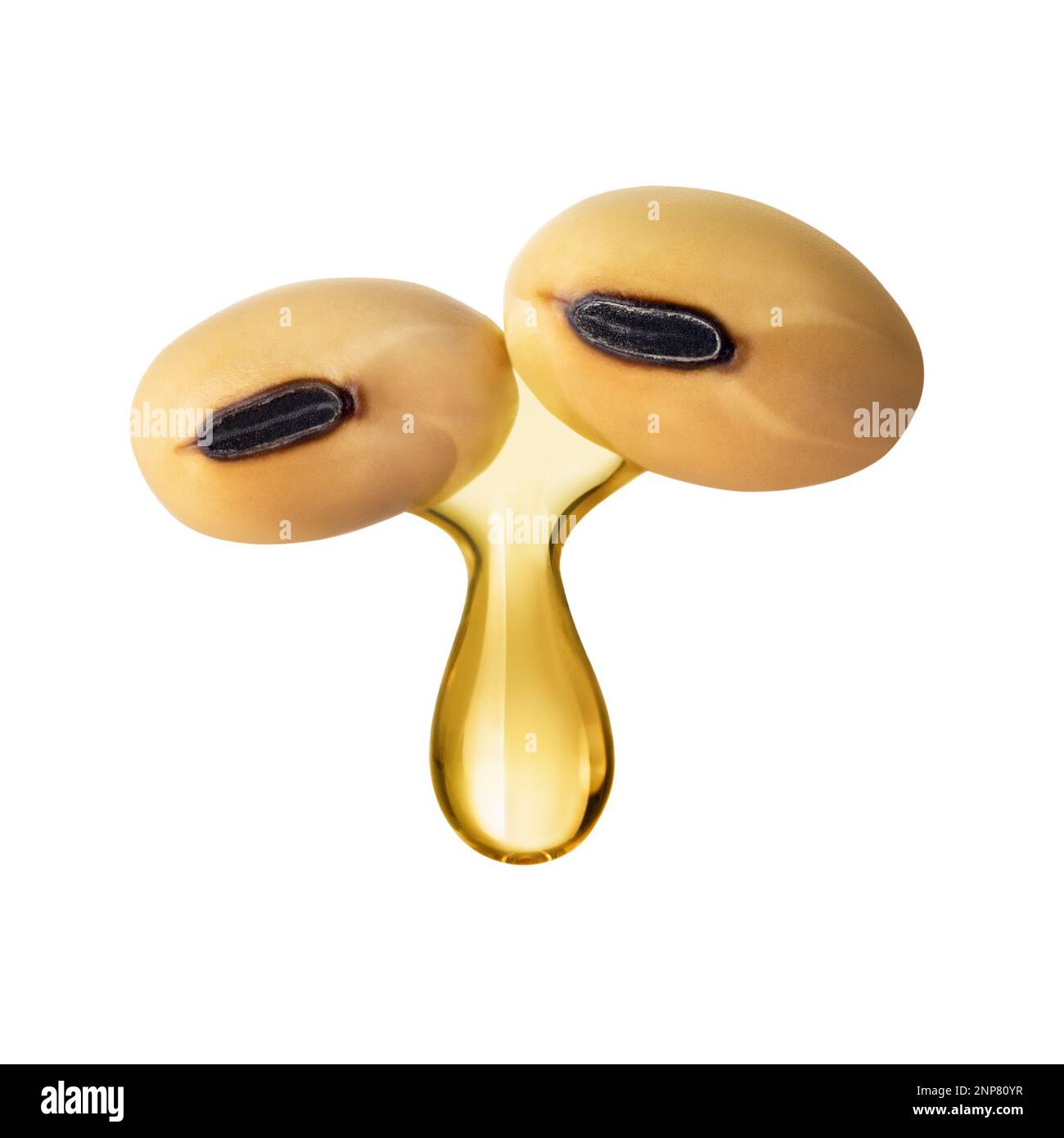 soybean oil dripping from flying beans isolated on white Stock Photo ...