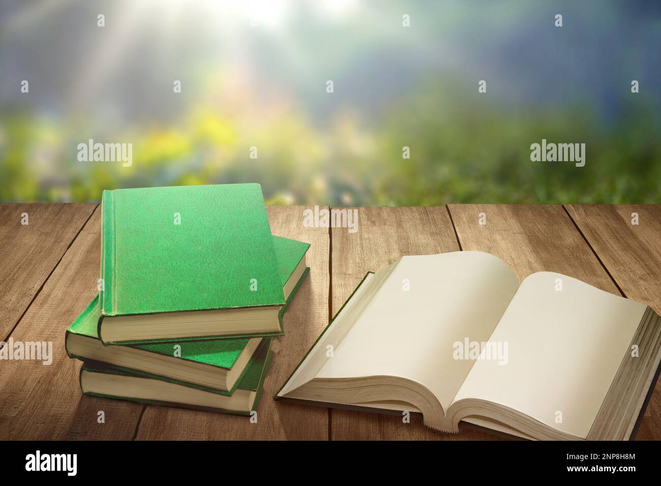 Opened book and stacked books on the field. World Book Day Concept ...