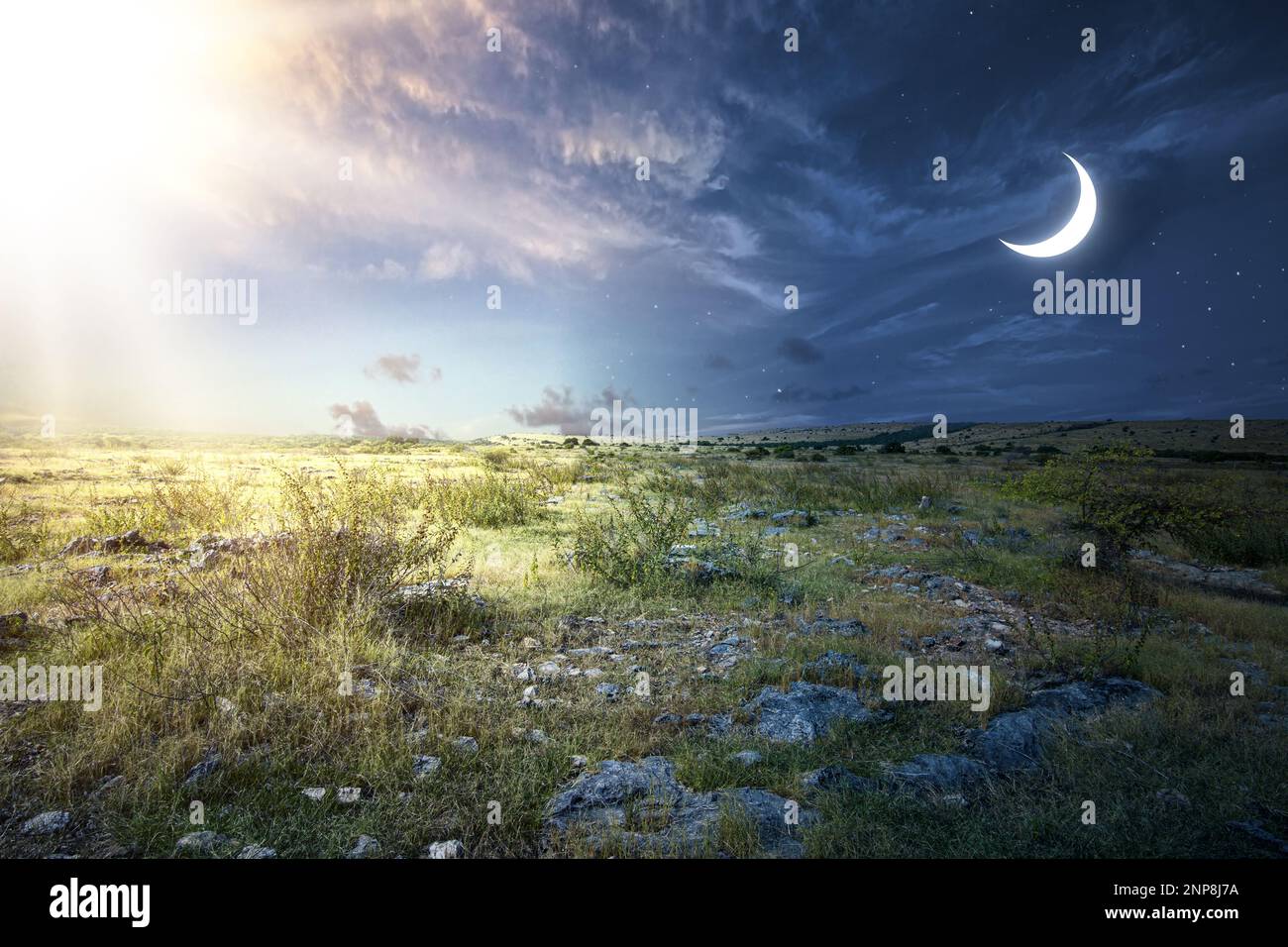 Meadow field with the night scene background Stock Photo - Alamy
