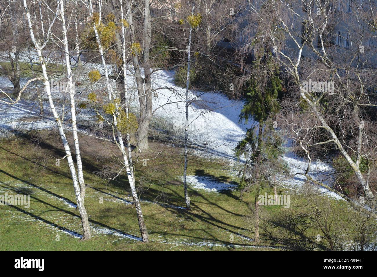 Berlin, Germany - February 26, 2023 - Weather in Germany - Sunny day ...