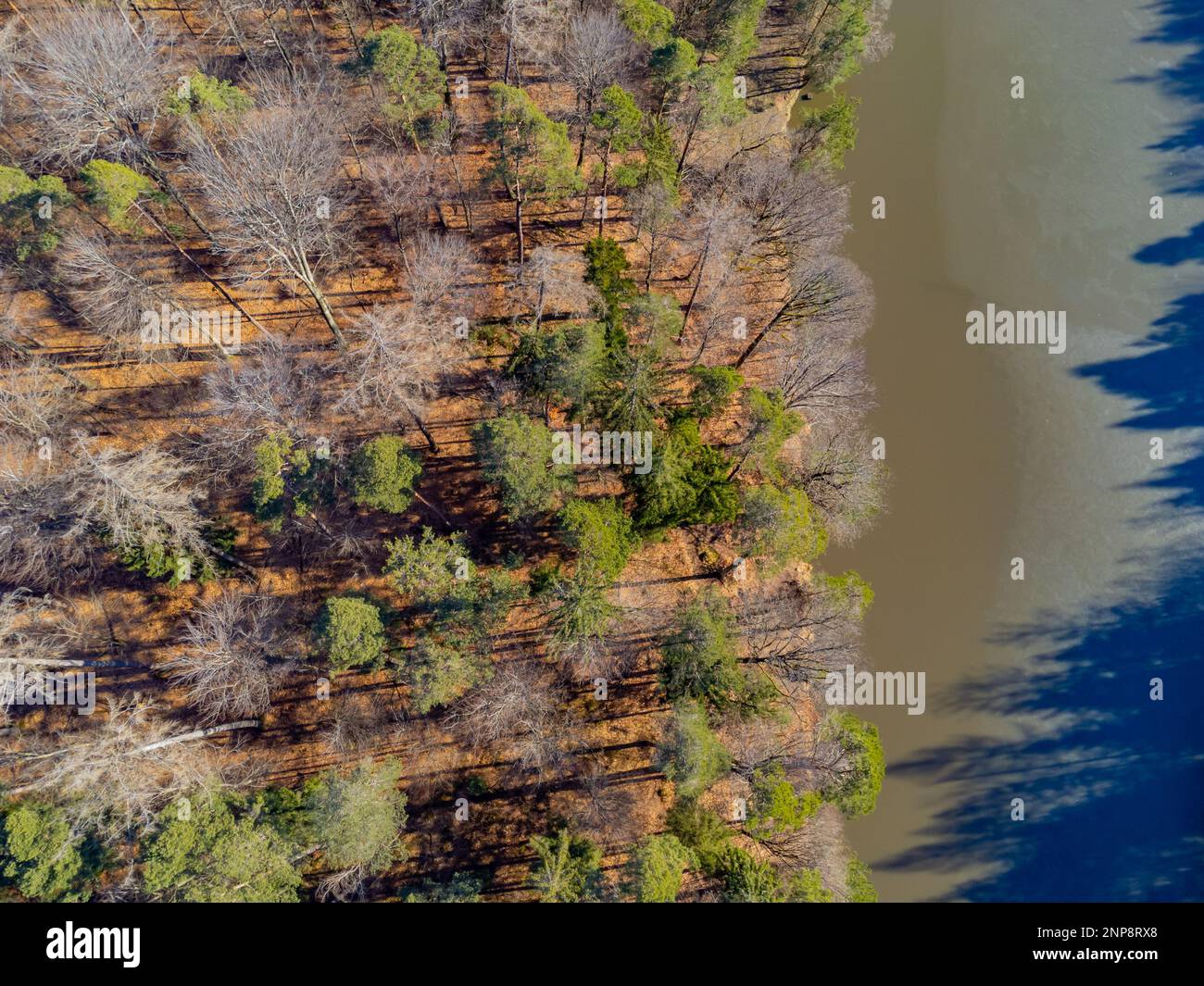 Aerial view of lakeshore in the forest Stock Photo - Alamy