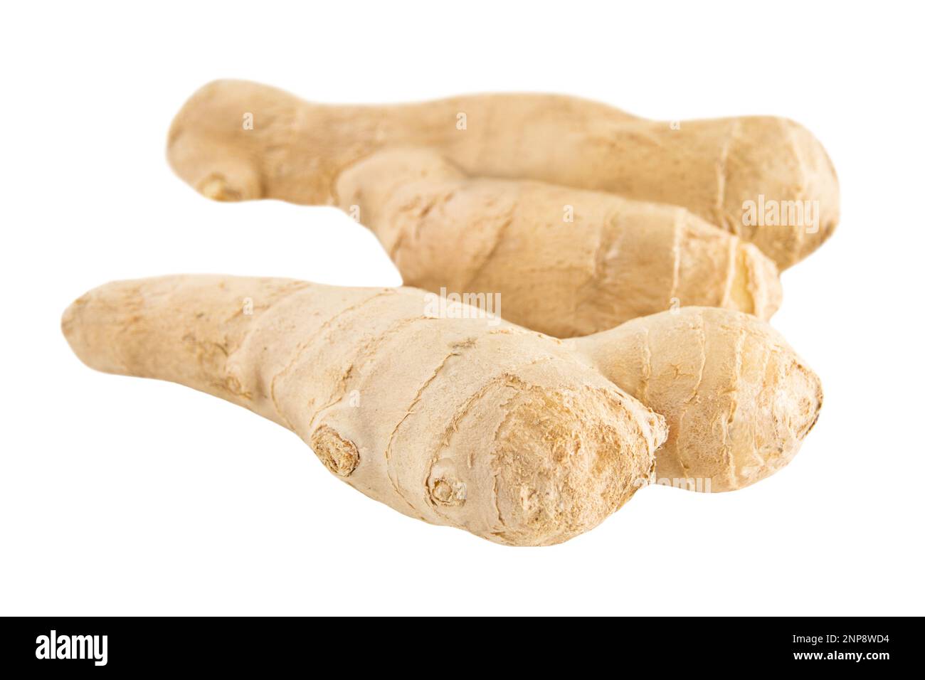 Ginger roots isolated on white background Stock Photo - Alamy