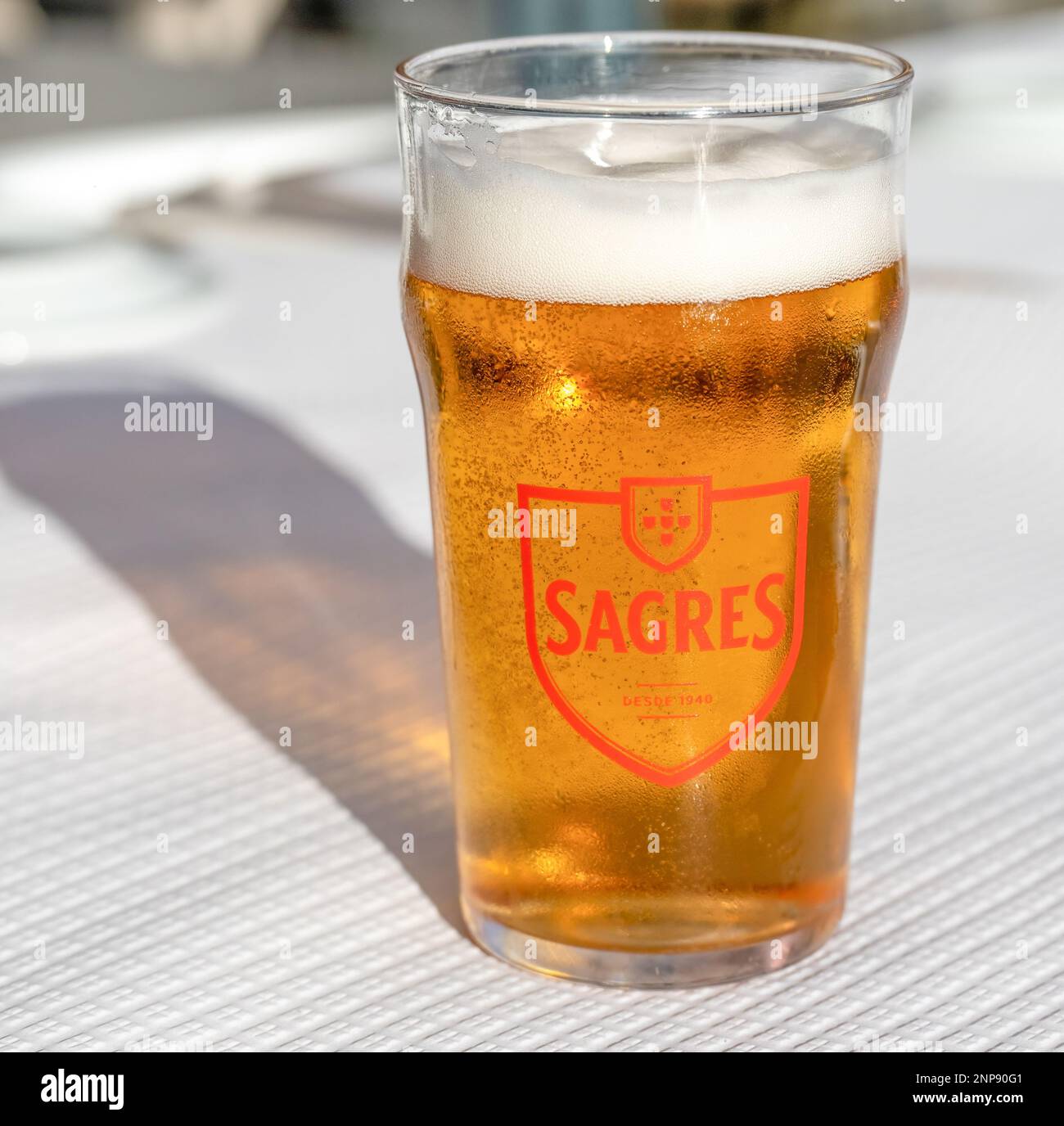 Sagres Portuguese beer in a drinking glass served in a real-life ...