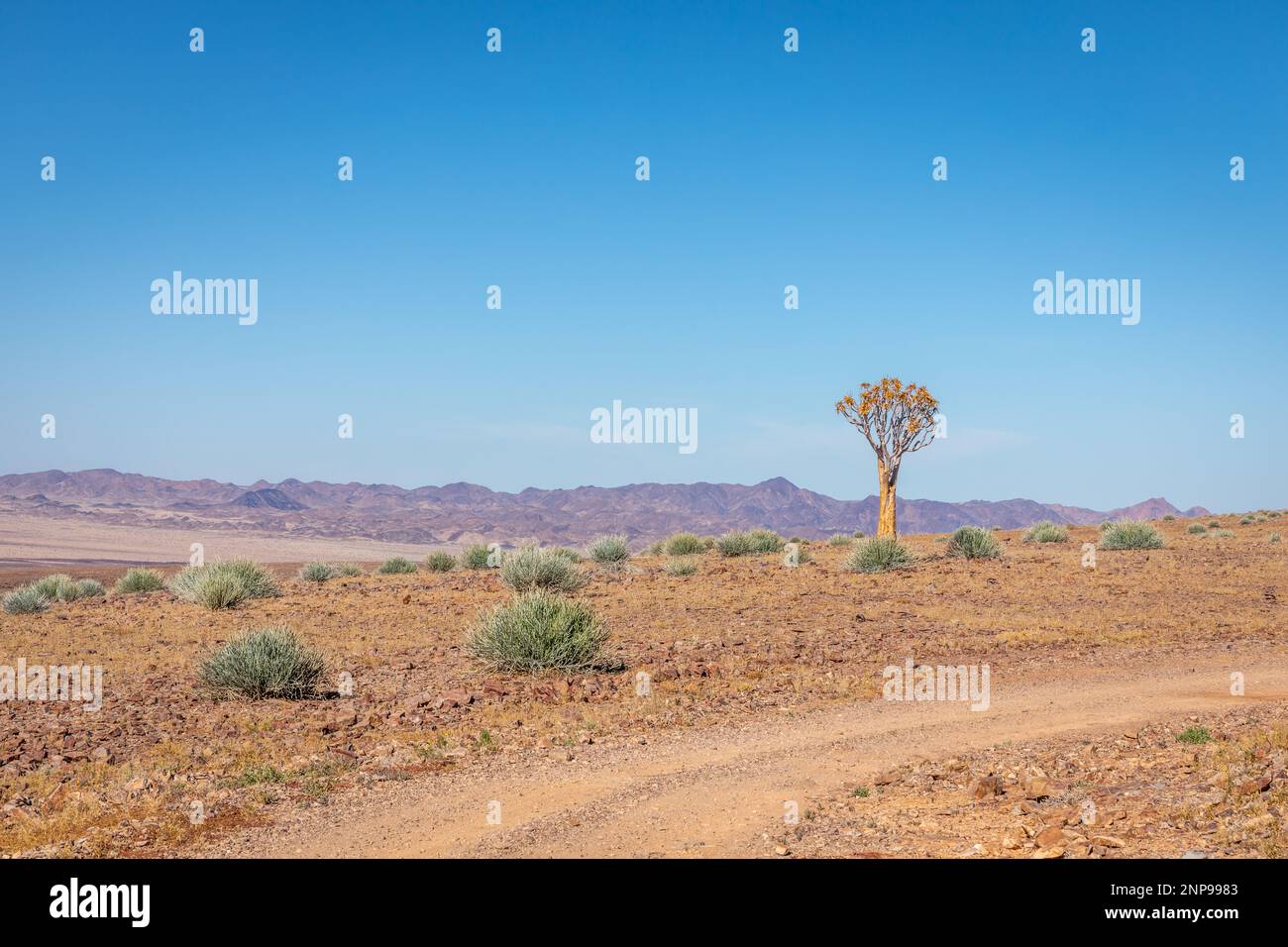 Road to check the viewpoints of Fish River Canyon, world's second ...