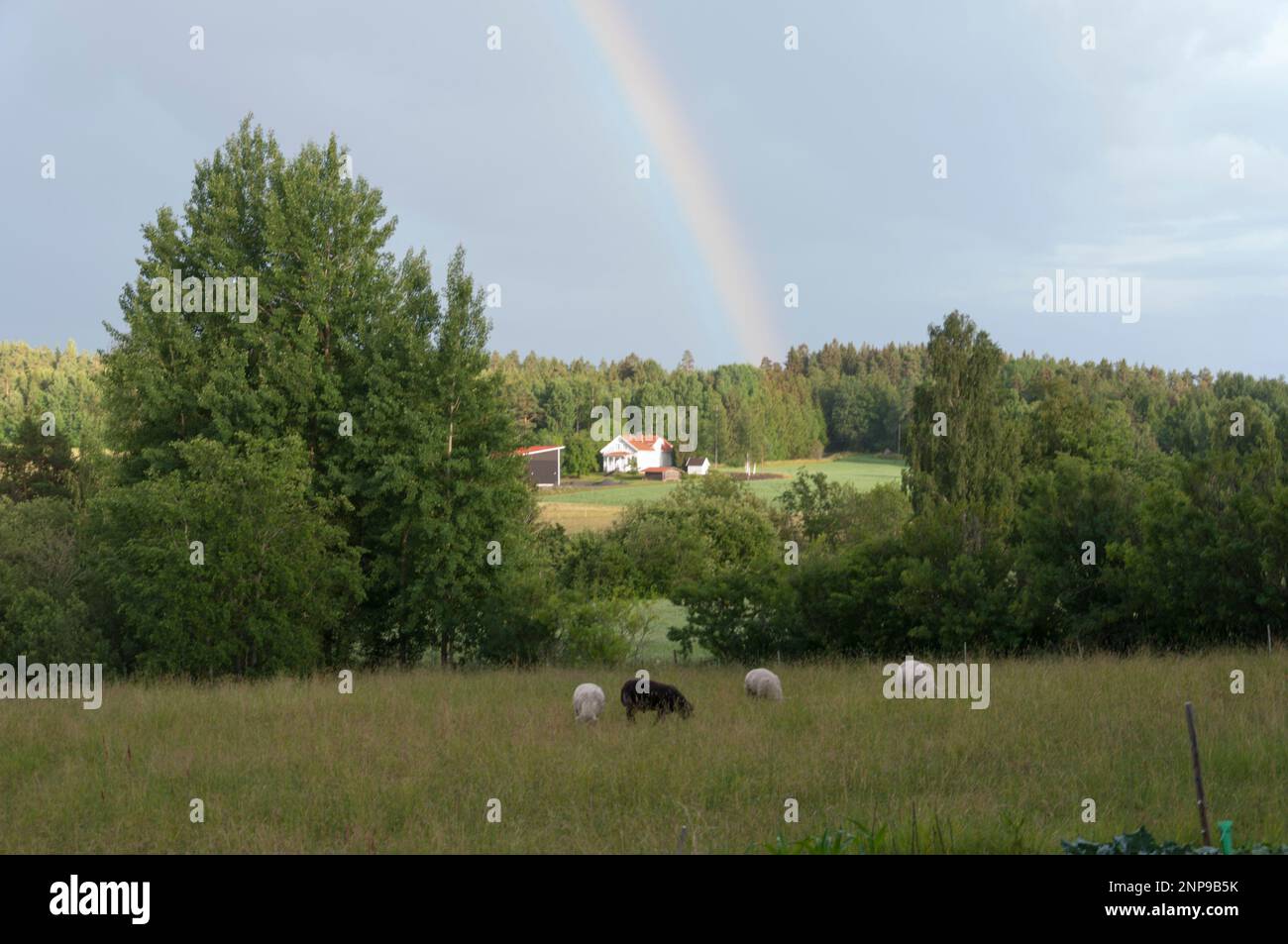 Half a Rainbow in Finland Stock Photo - Alamy