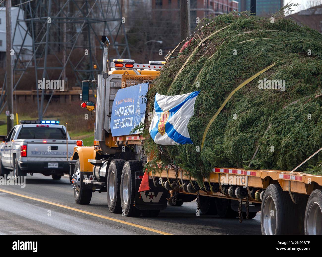 The annual "Tree for Boston" is readied for shipment to Boston from ...