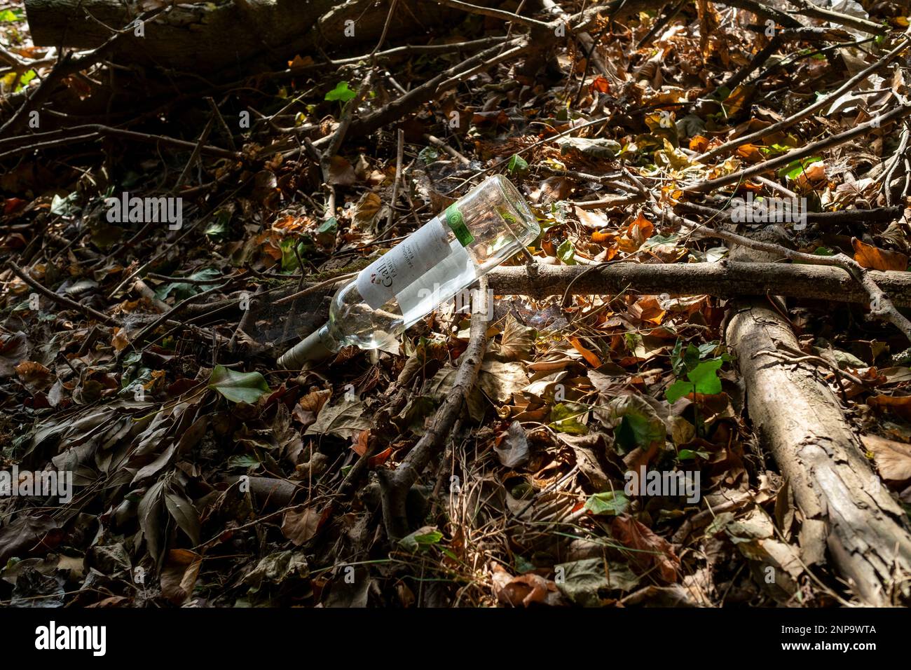 Discarded wine bottle Stock Photo - Alamy