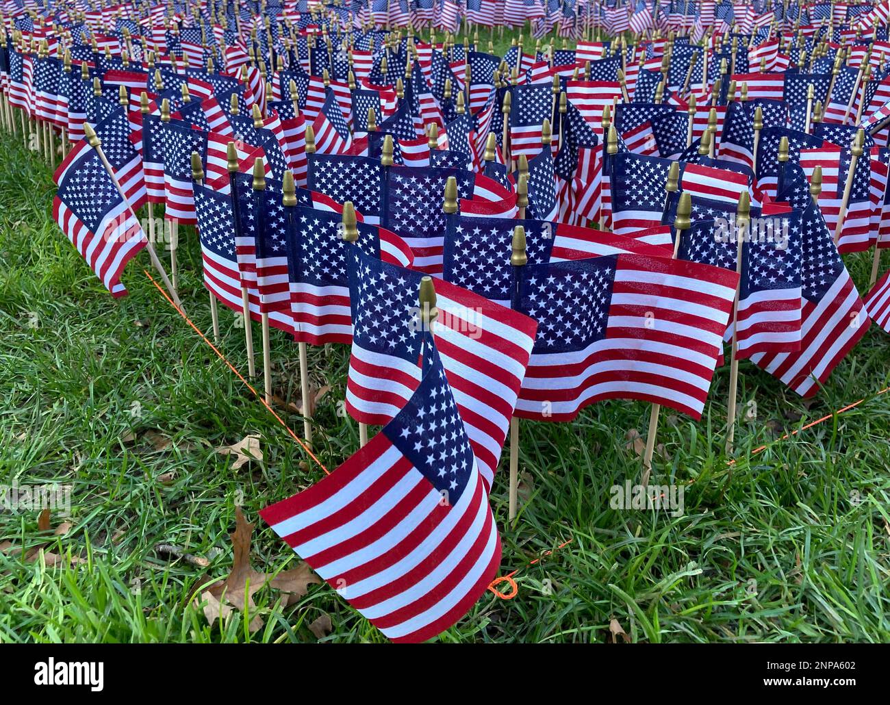 Photo by: STRF/STAR MAX/IPx 2020 11/8/20 Veteran's Day tributes are ...