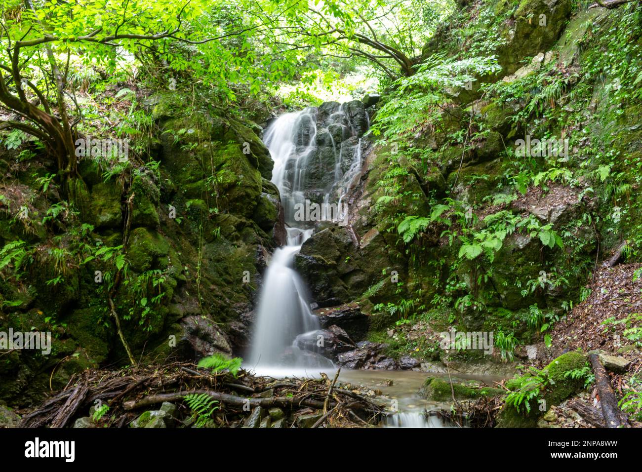 Itao Fudou-daki waterfall, Hakusan, Ishikawa, Japan Stock Photo - Alamy