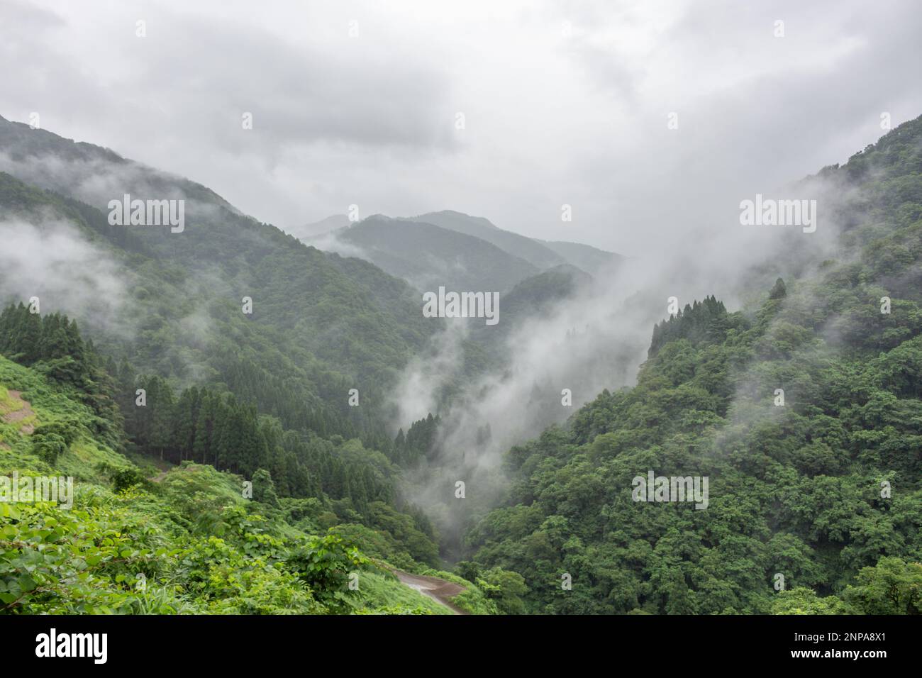 Mountains and valley in mist, Hakusan,Ishikawa, Japan Stock Photo - Alamy