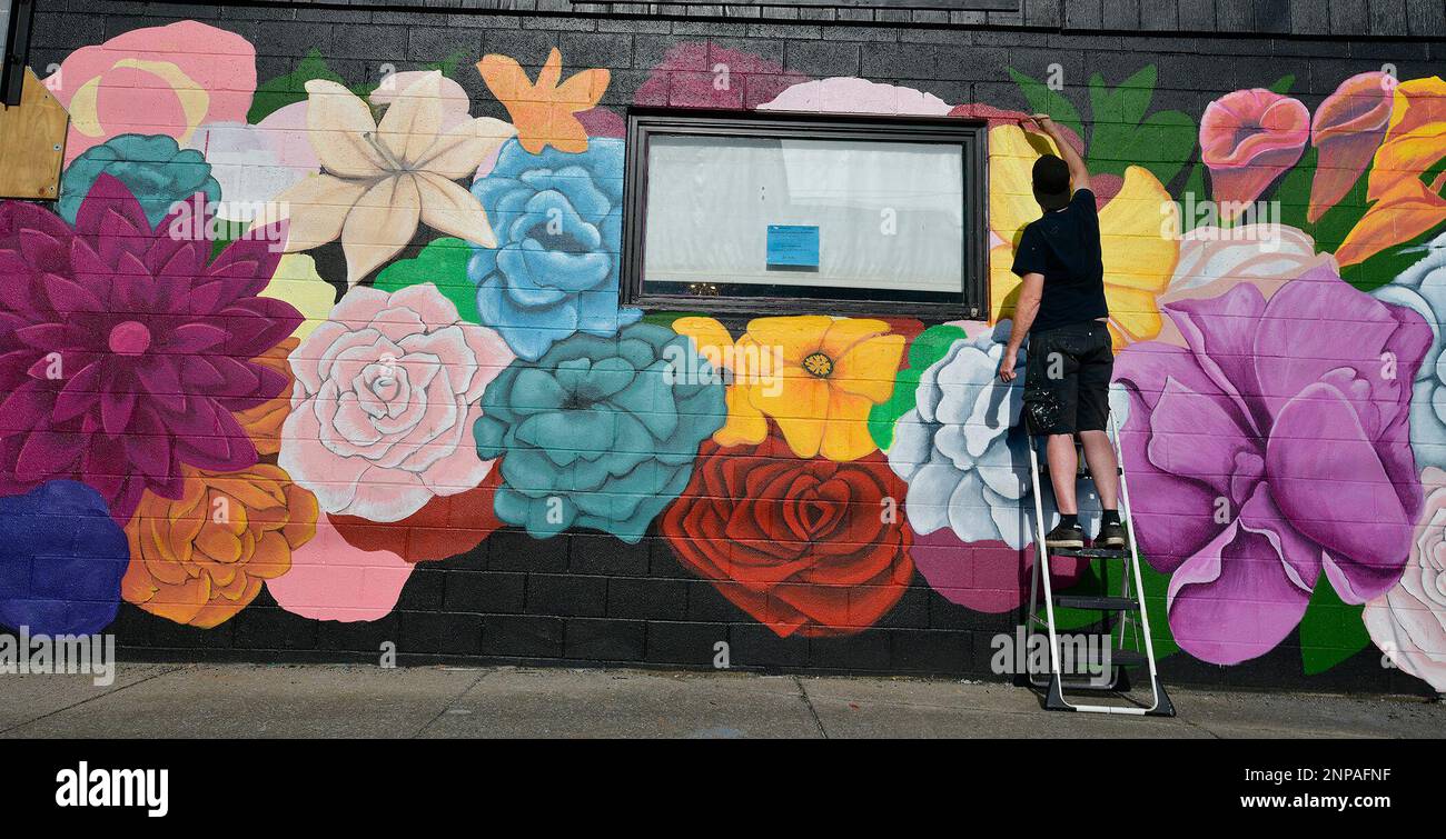 Johnstown artist Todd Stiffler works on his floral moral on a building ...